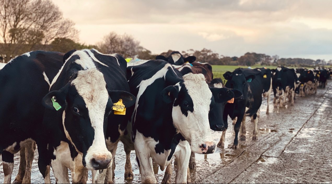 Who We Are – Care A2+